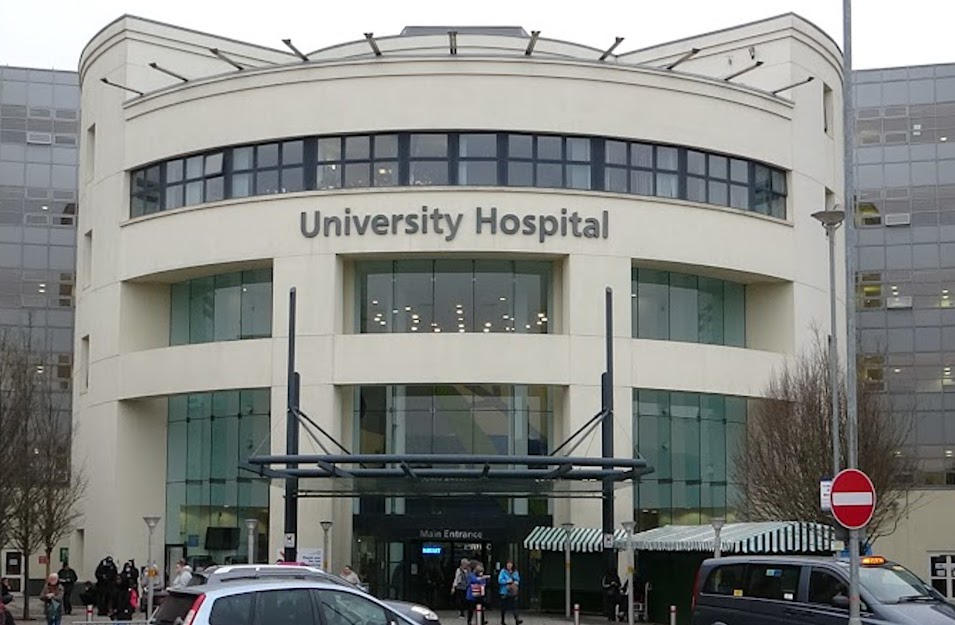 Team & Department Information